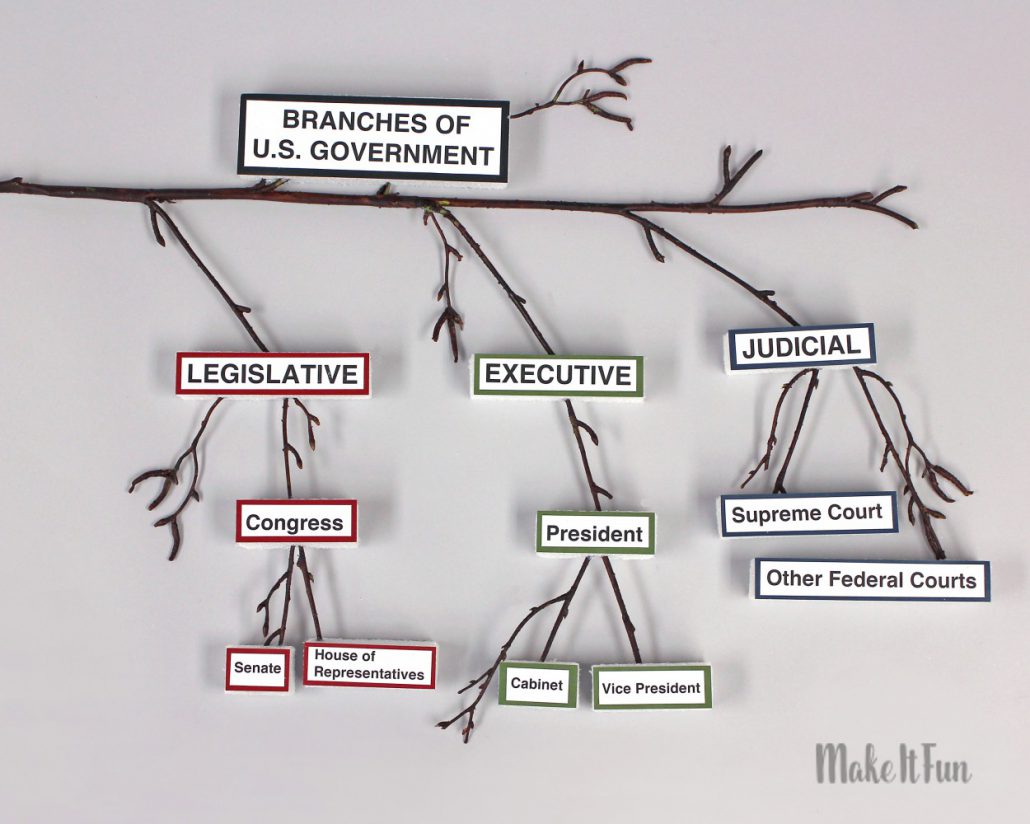 Teach Me! - Branches of Government | Make It Fun Blog
